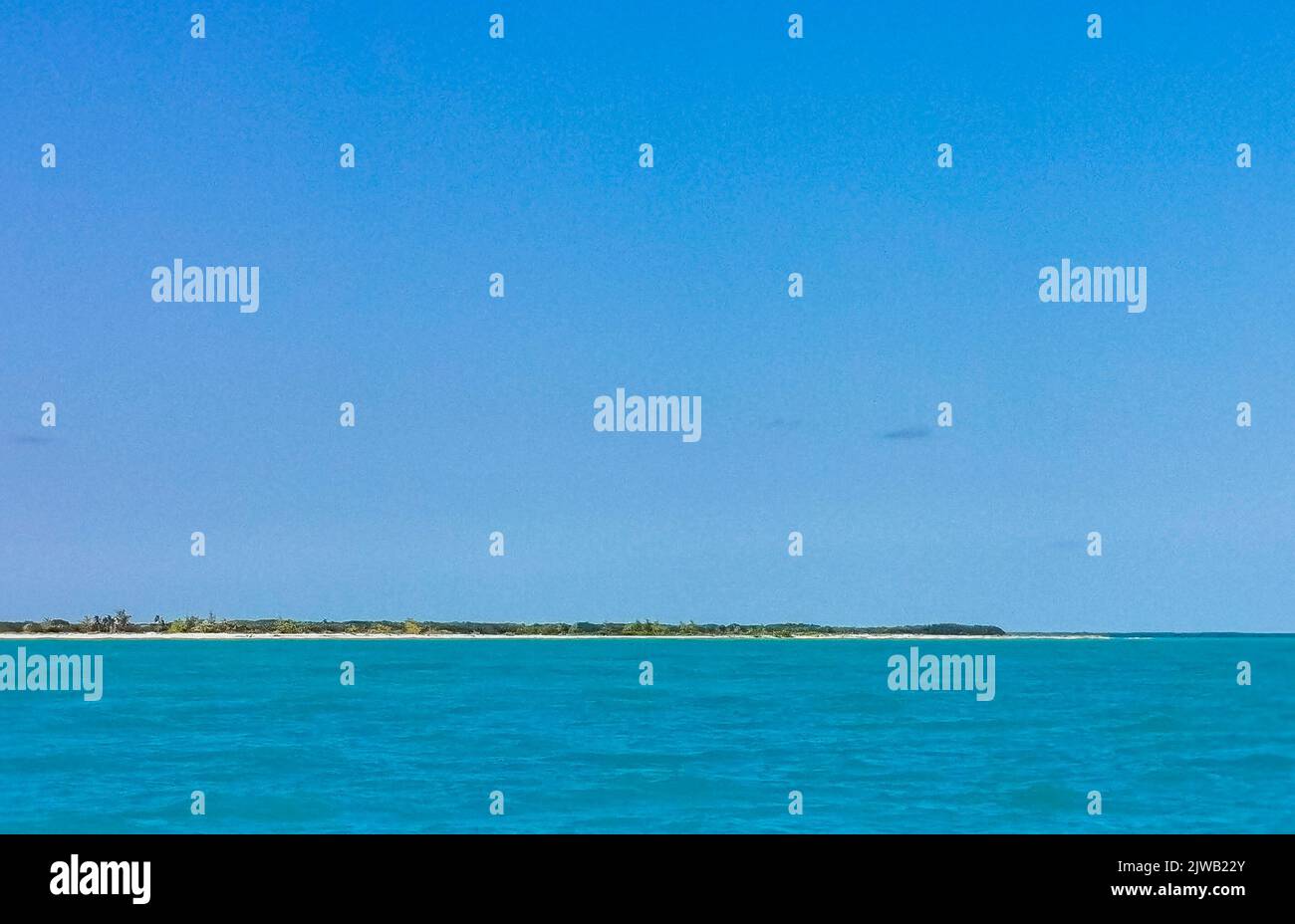 Boat trip tour from Cancun to Island Mujeres Isla Contoy and Whale ...