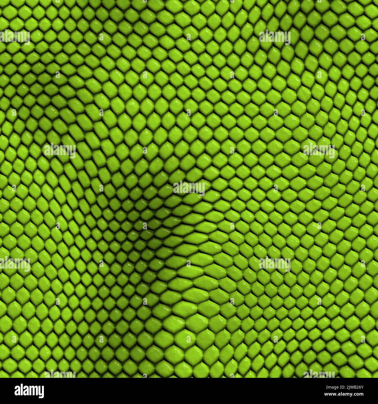 Alligator skin texture. Crocodile seamless pattern, reptile green ... Alligator skin texture. Crocodile seamless pattern, reptile green ...