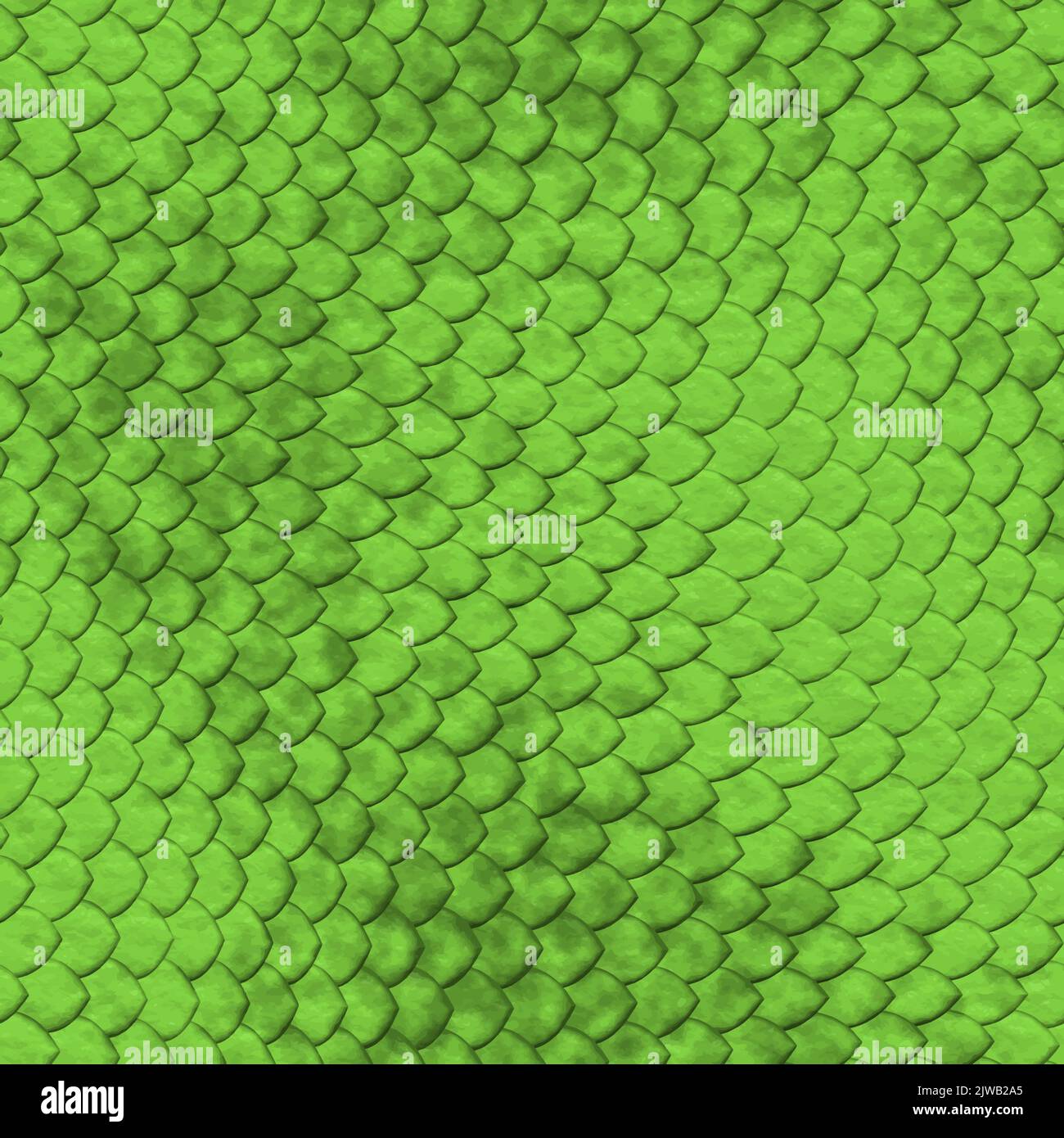 Alligator skin texture. Seamless crocodile pattern, reptile grooved ...