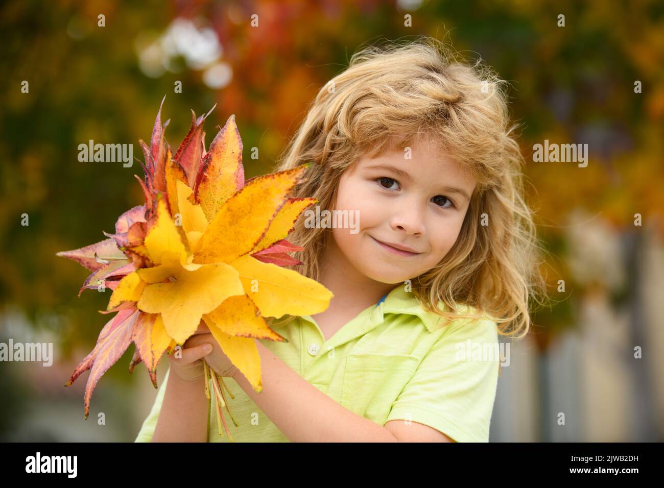Autumn Baby Portrait on Fall Yellow Leaves Background, Child Kid in ...