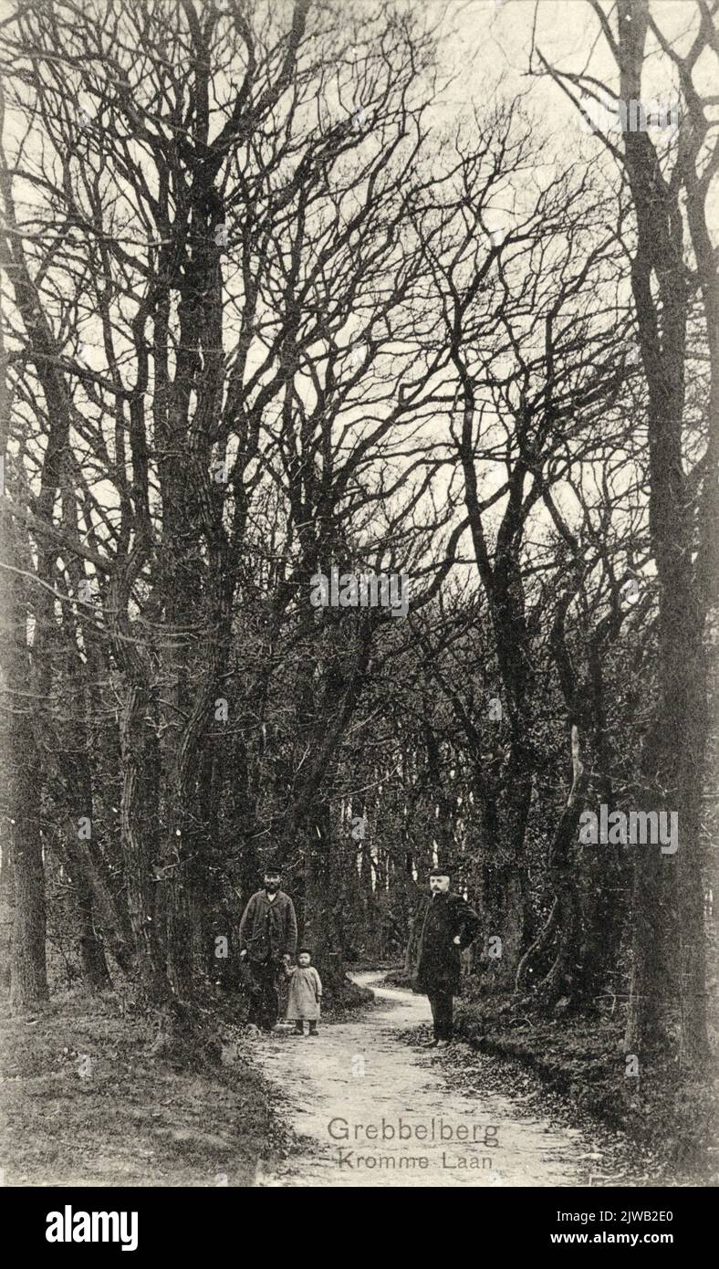 Face in the Krommelaan in the forest in the Grebbe (municipality of ...