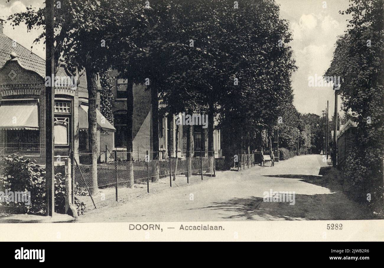 Face in the Acacialaan in Doorn from the northwest Stock Photo - Alamy