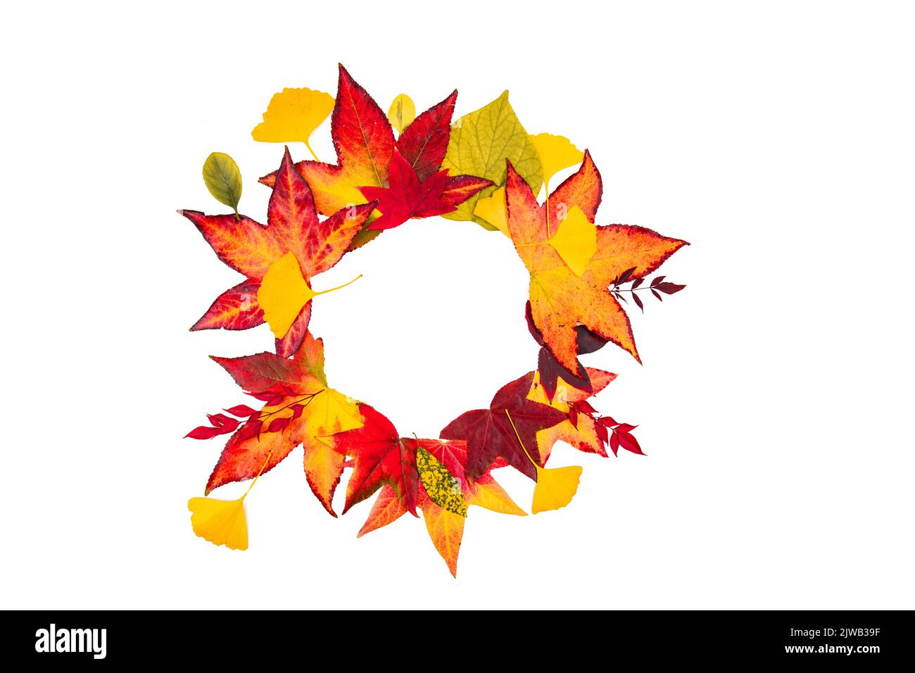 Autumn leaves frame. Fall leaf border, autumnal background. Autumn ...