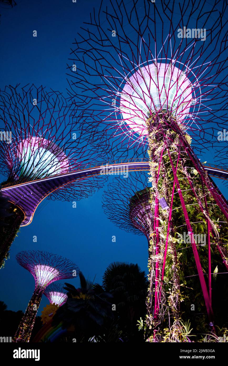 Supertree Grove at night - Gardens by the Bay, Singapore Stock Photo ...
