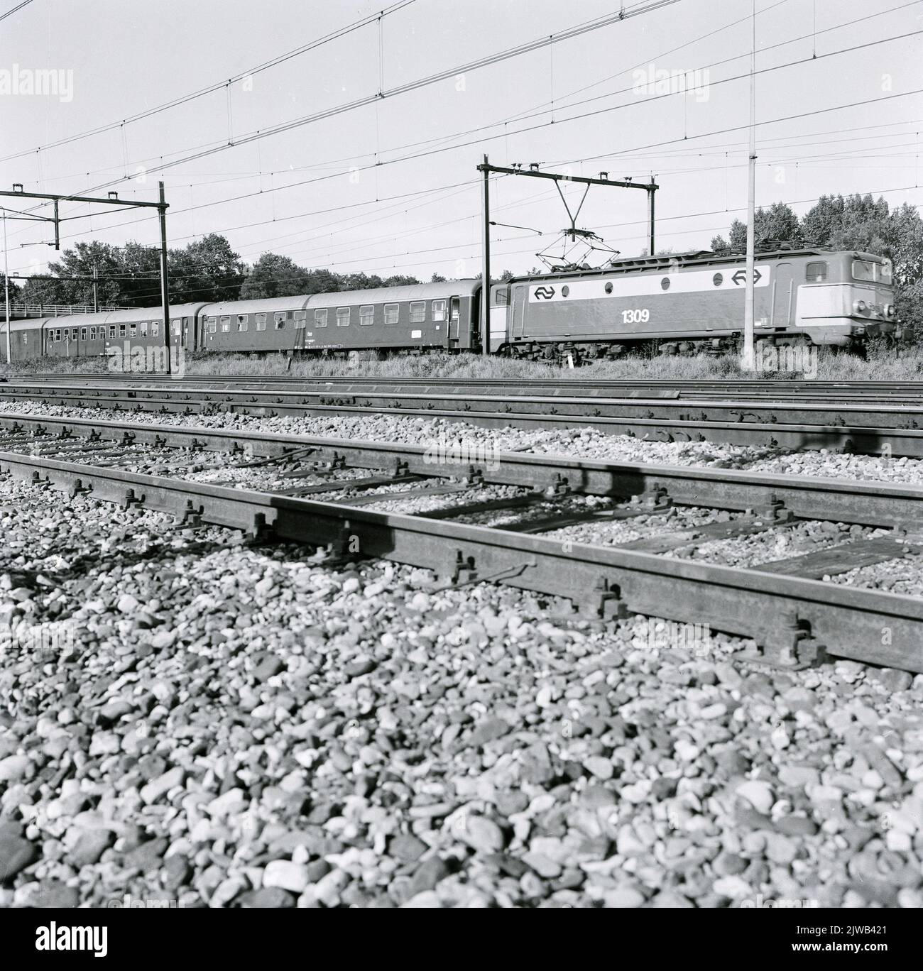 Image of the electric locomotive No. 1309 (series 1300) of the N.S ...
