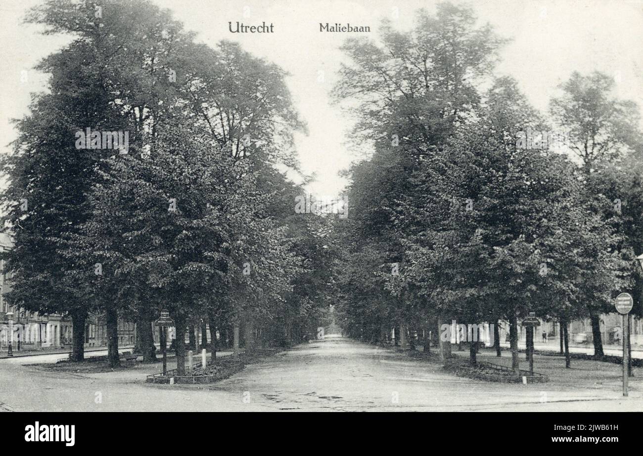 View in the Maliebaan in Utrecht Stock Photo - Alamy
