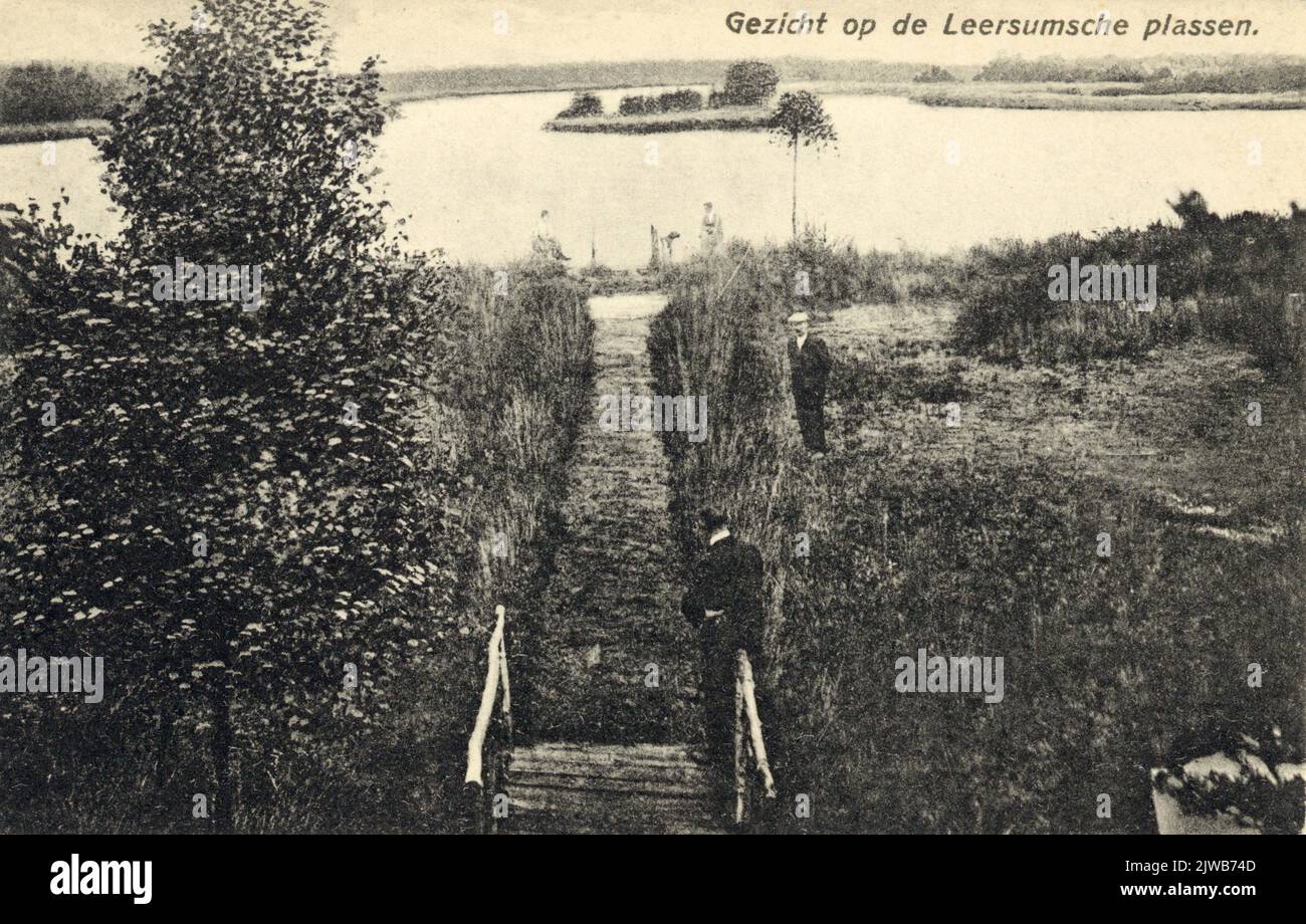 View of the Leersumsche Plassen in the Leersumsche Veld nature reserve ...