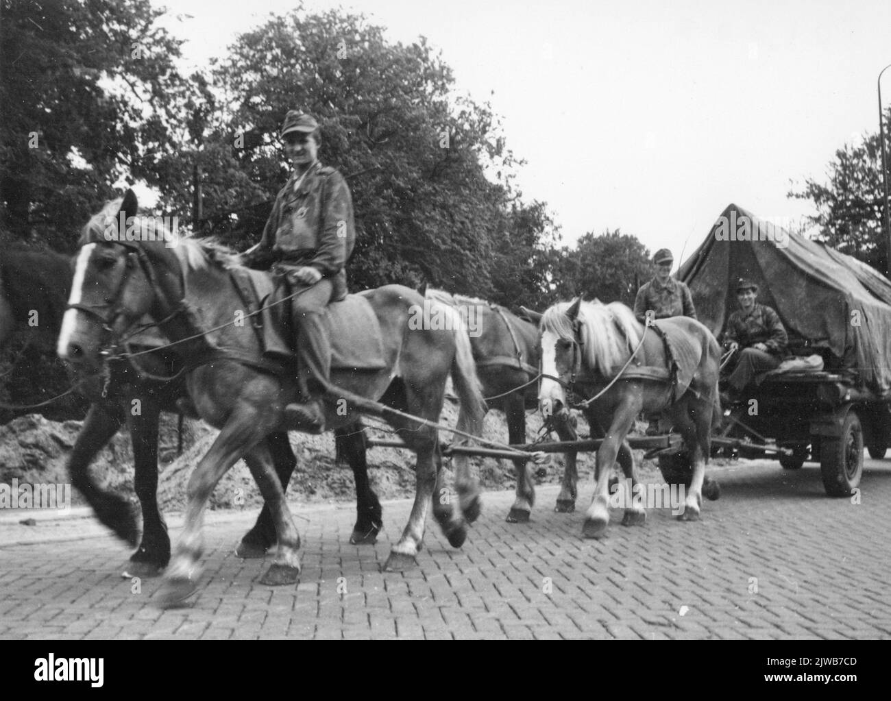 Image of the retreat of German prisoners of war on a horse car on the ...