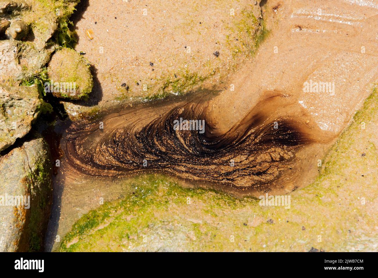 The sea beach and the rocks are polluted with oil. A crude oil spill in ...