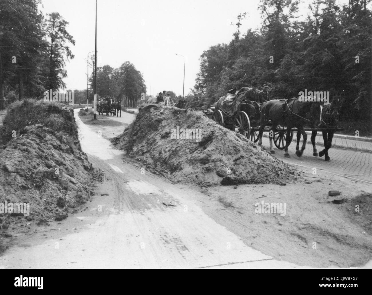 Image of the retreat of German prisoners of war on a few horse cars on ...
