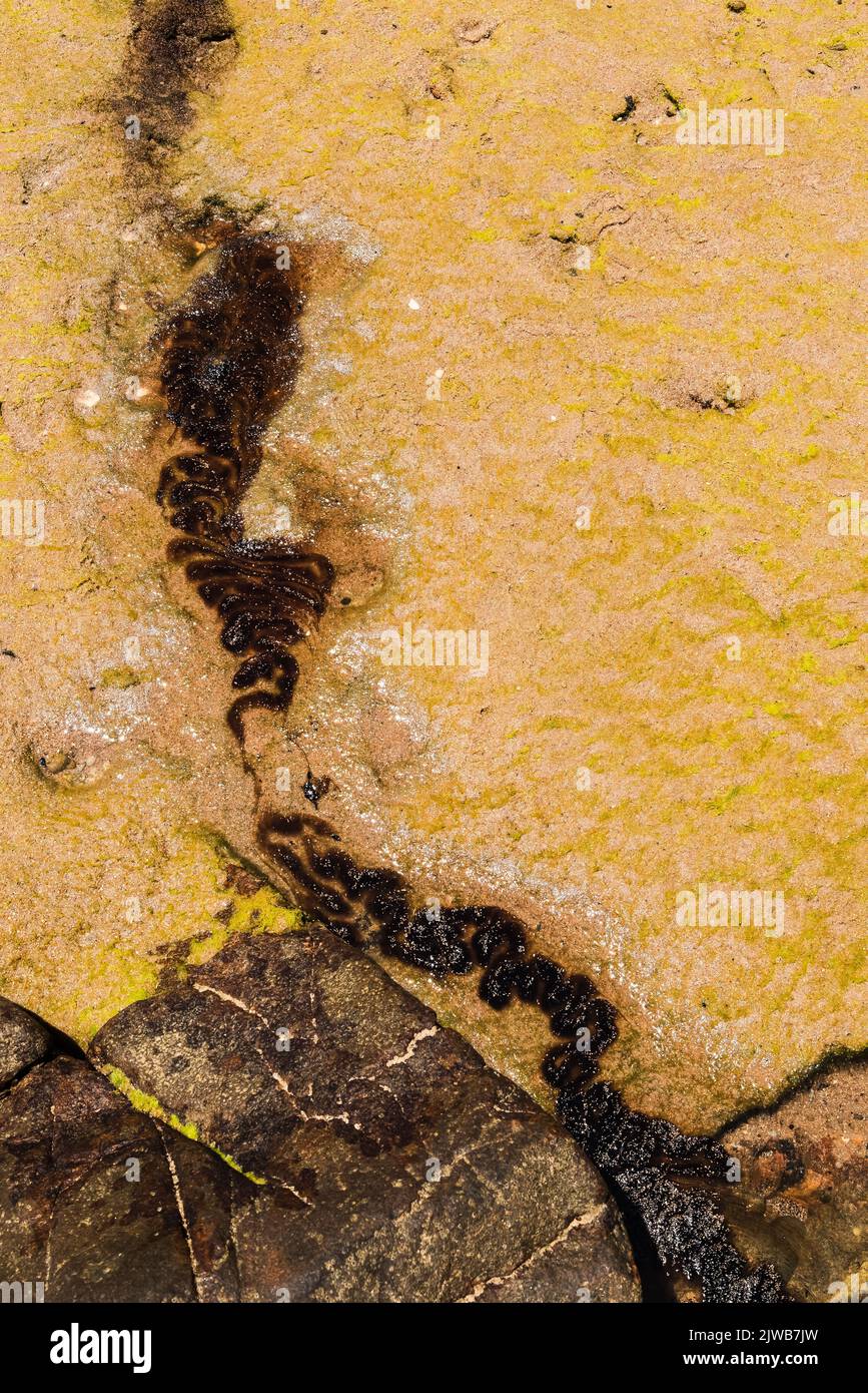 The sea beach and the rocks are polluted with oil. A crude oil spill in ...