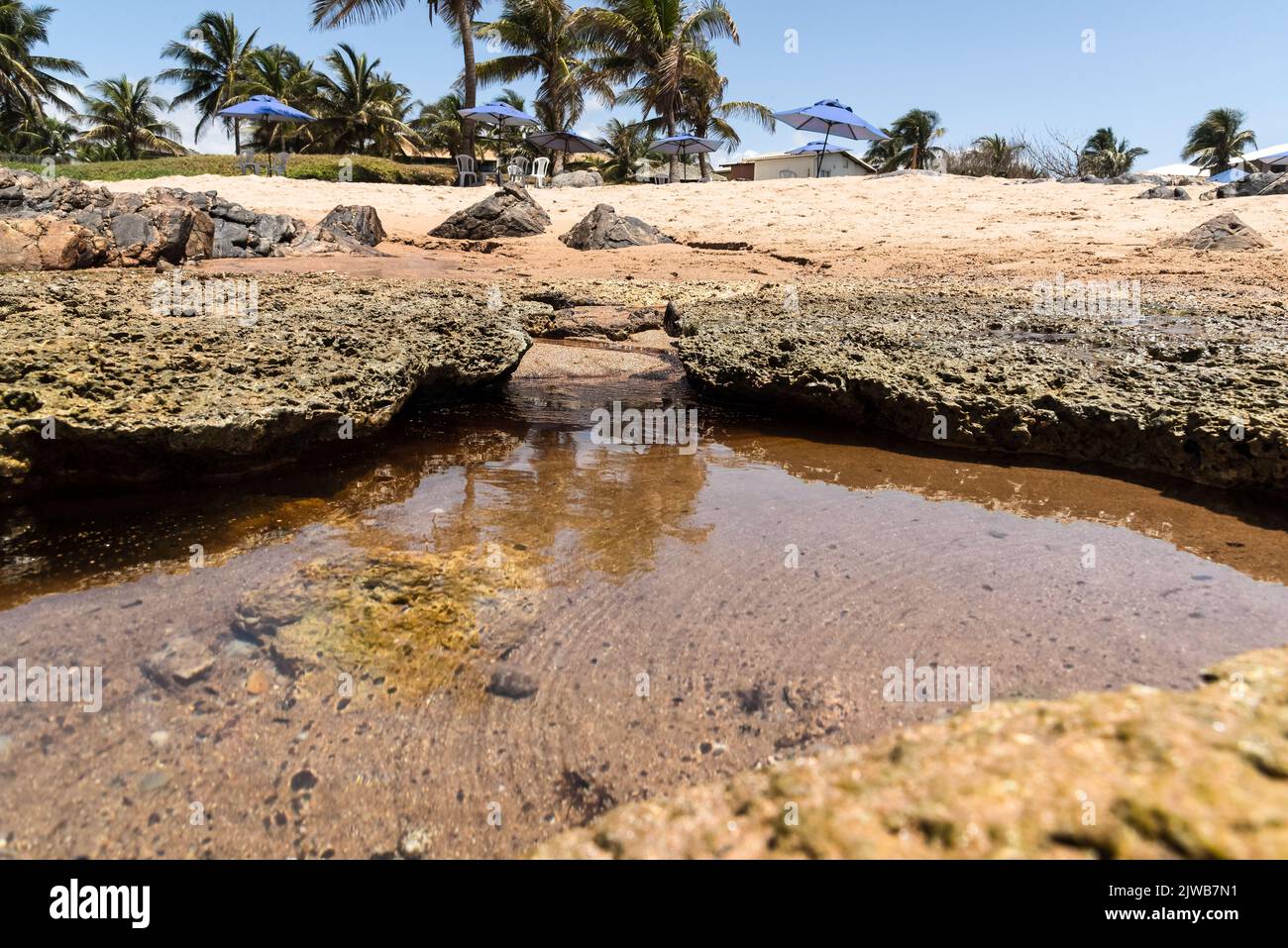 The sea beach and the rocks are polluted with oil. A crude oil spill in ...