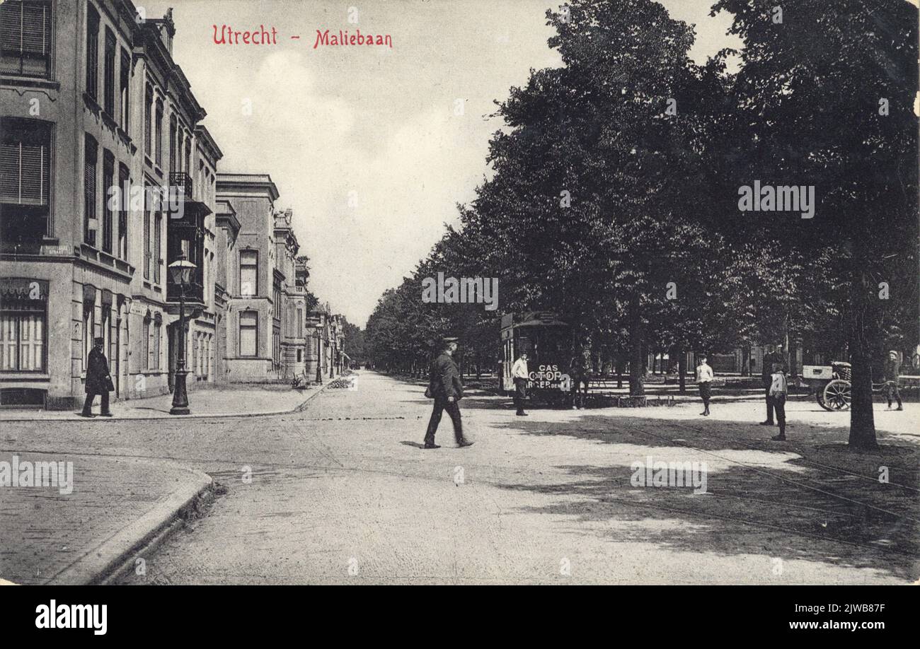 View in the Maliebaan in Utrecht Stock Photo - Alamy