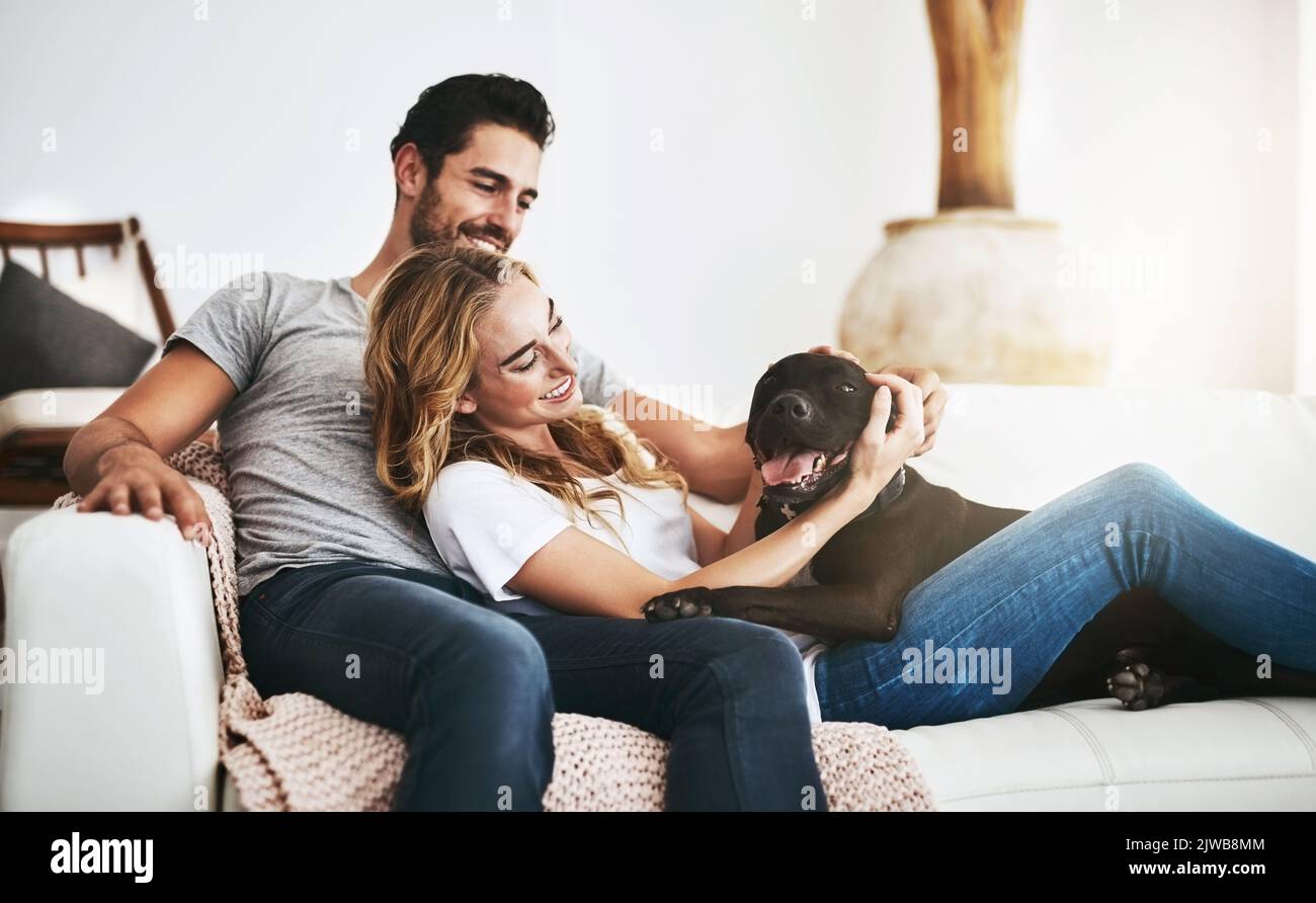Love is the three of us. a couple and their pet relaxing at home Stock ...
