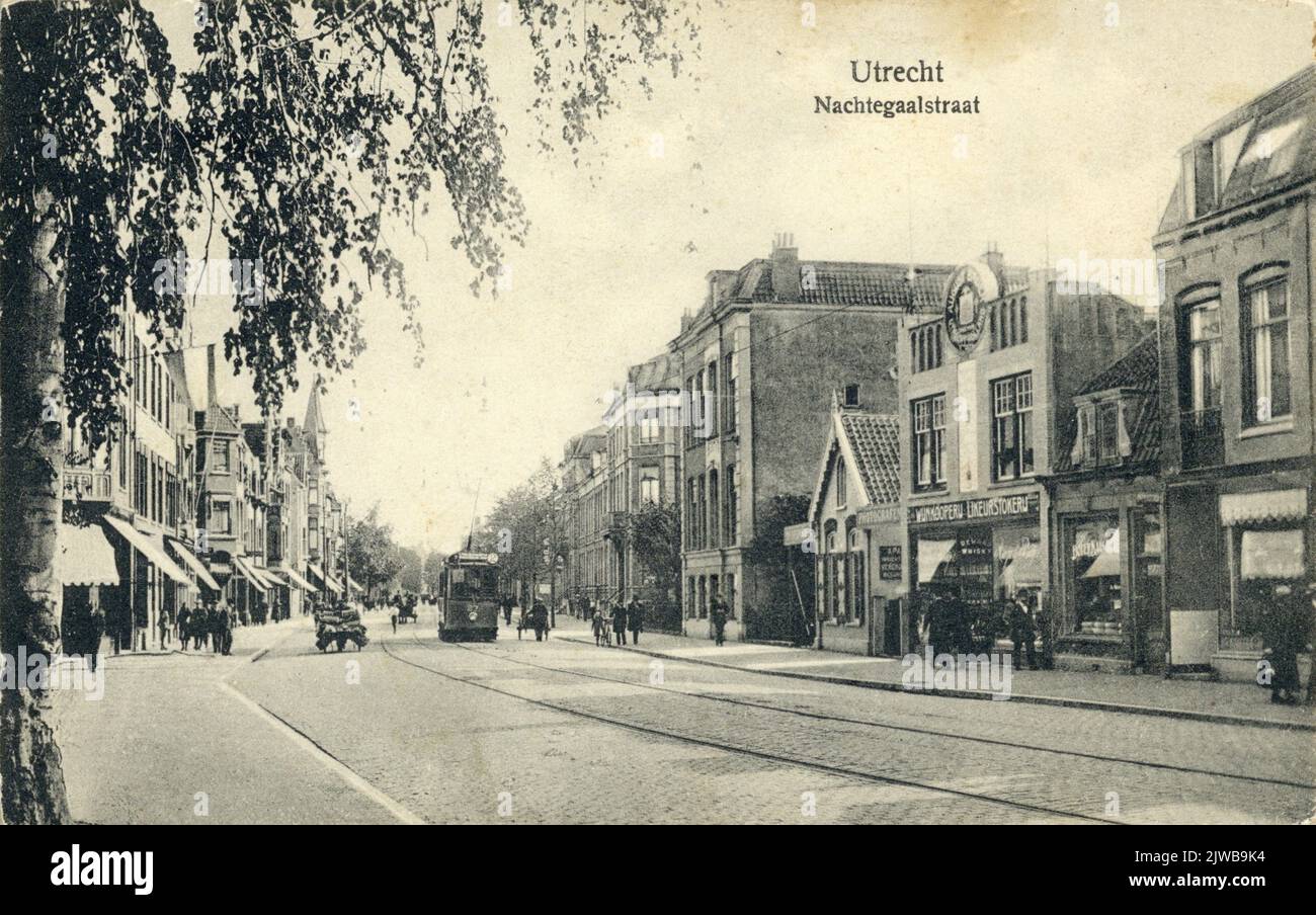 View in the Nachtegaalstraat in Utrecht Stock Photo - Alamy