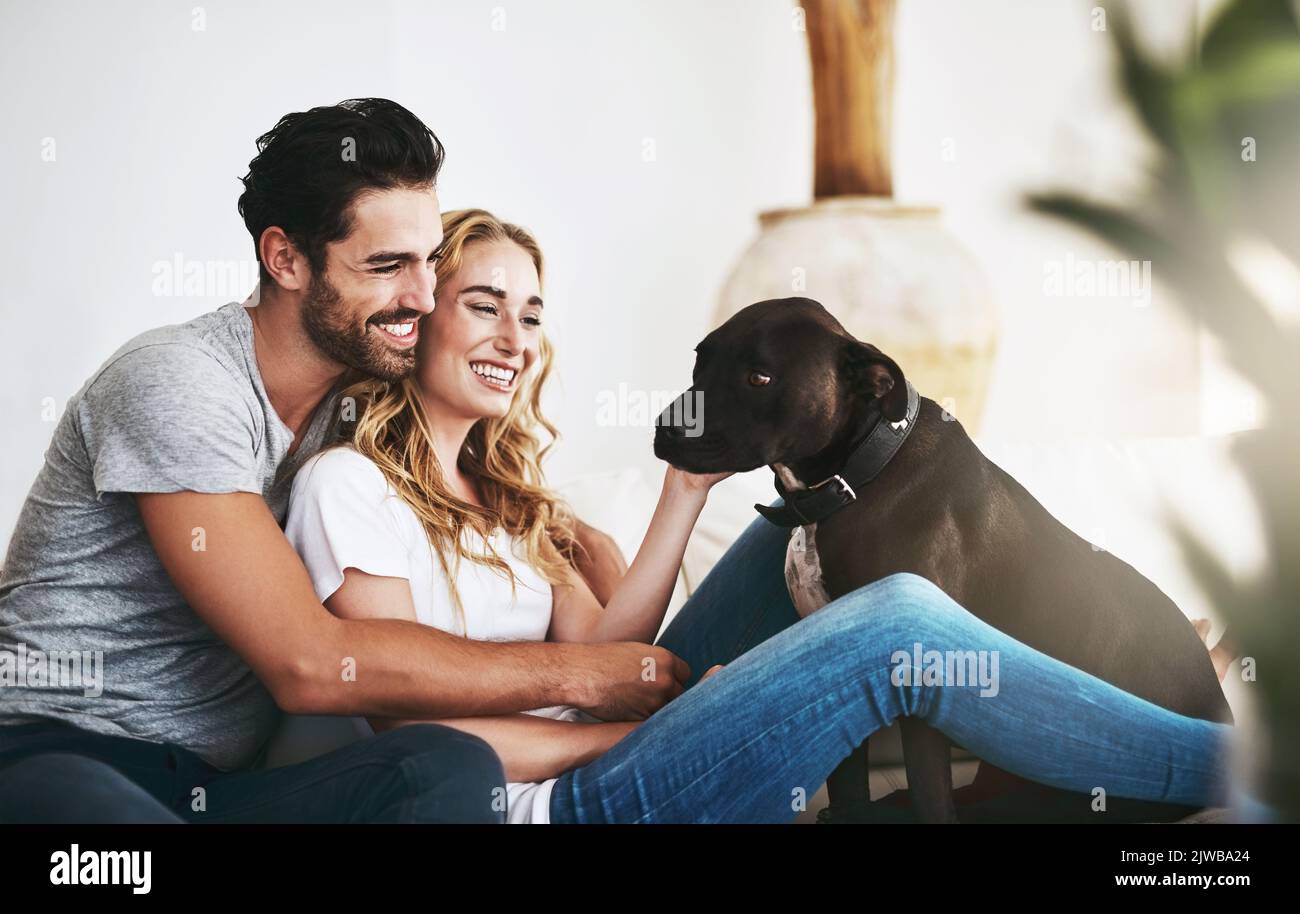 Just the three of us. a couple and their pet relaxing at home Stock ...