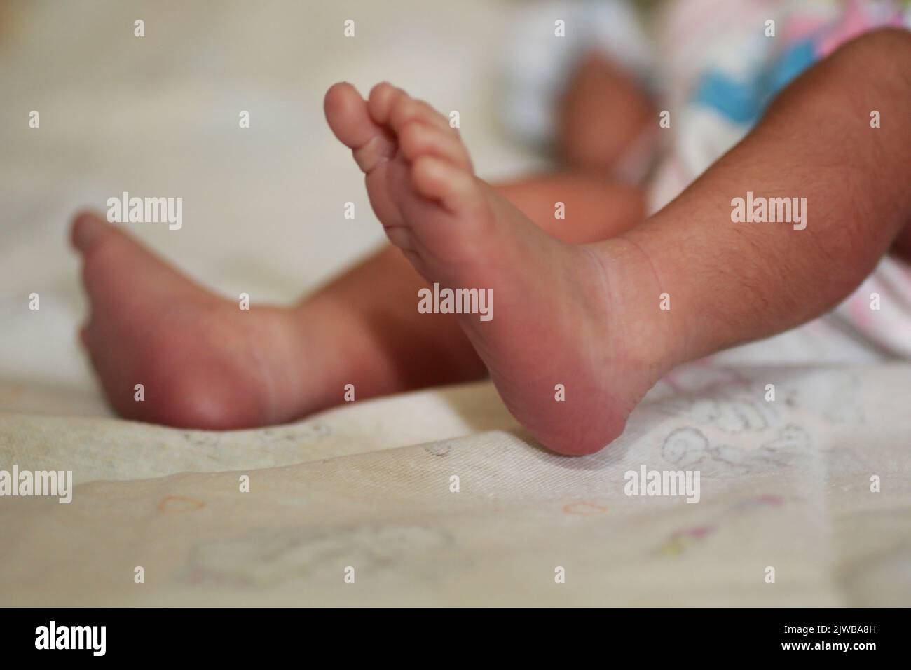 Premature baby feet hi-res stock photography and images - Alamy