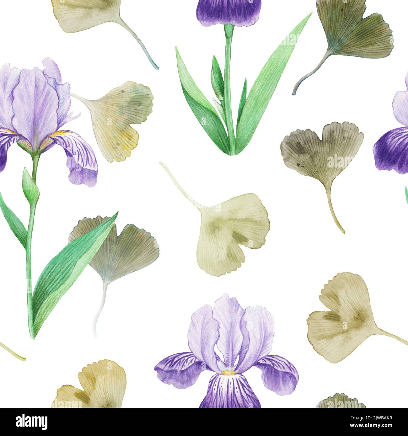 Seamless pattern with iris flowers and ginkgo leaves. Watercolor ...
