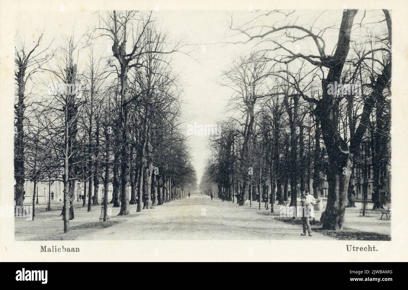 View in the Maliebaan in Utrecht Stock Photo - Alamy