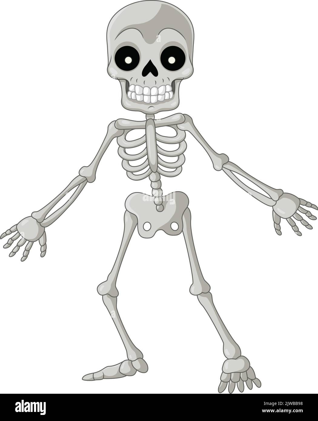Cartoon funny skeleton on white background Stock Vector Image & Art - Alamy