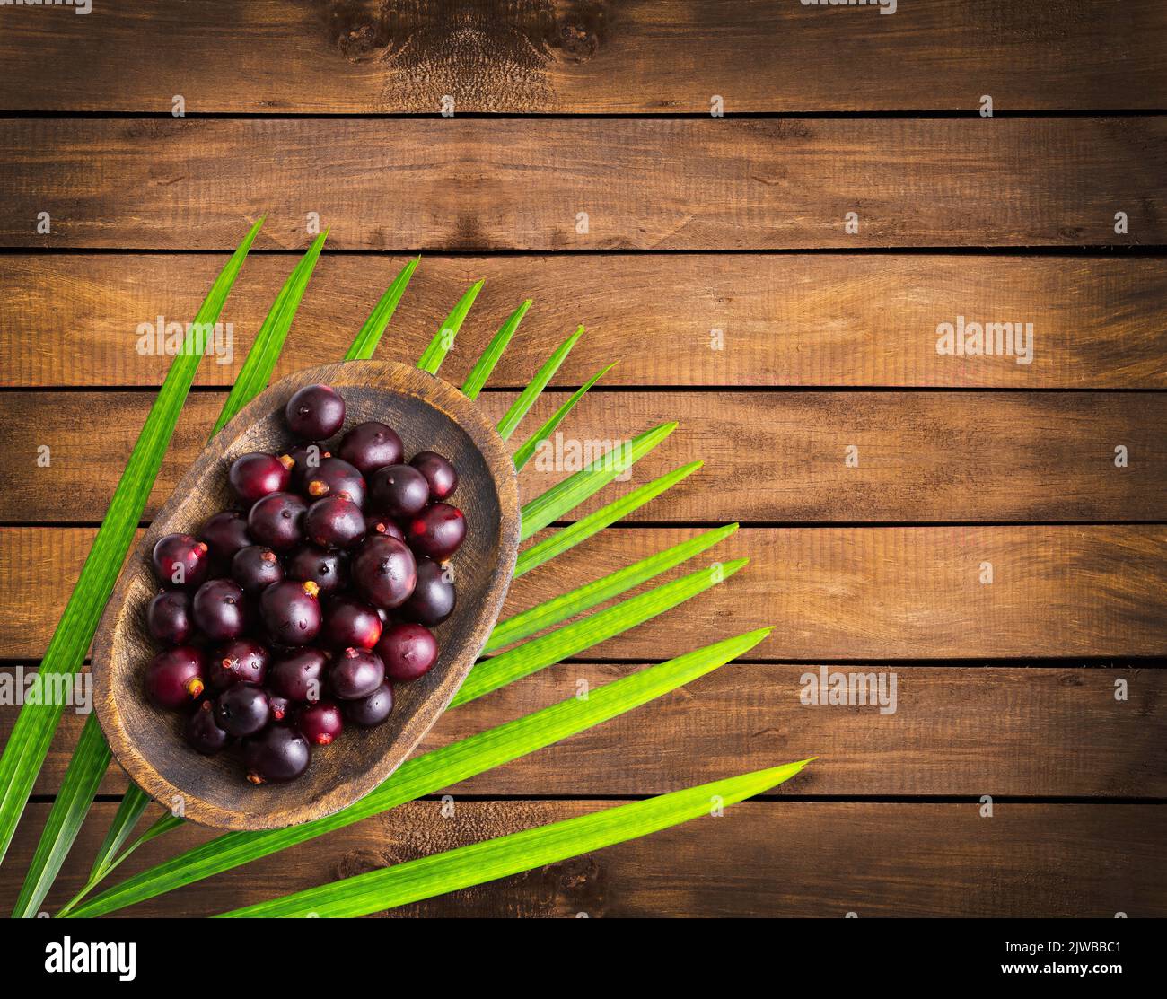 Fresh organic acai berries - Euterpe oleracea Stock Photo - Alamy
