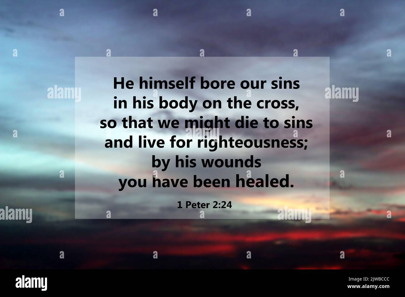Bible verse - Him himself bore our sins in his body on the cross, so ...
