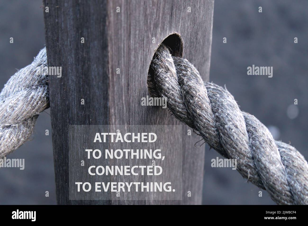 Inspirational motivational quote - Attached to nothing, connected to ...