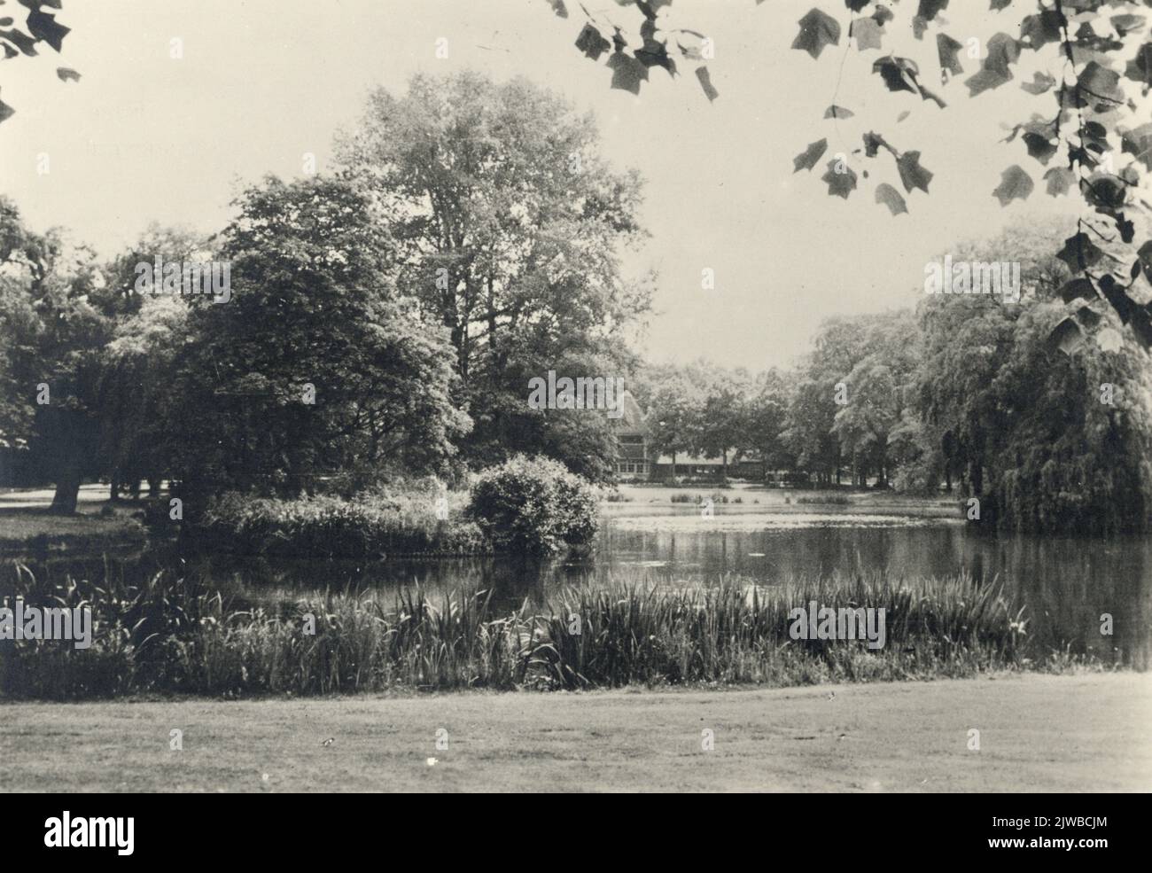 View in the Wilhelminapark in Utrecht Stock Photo - Alamy