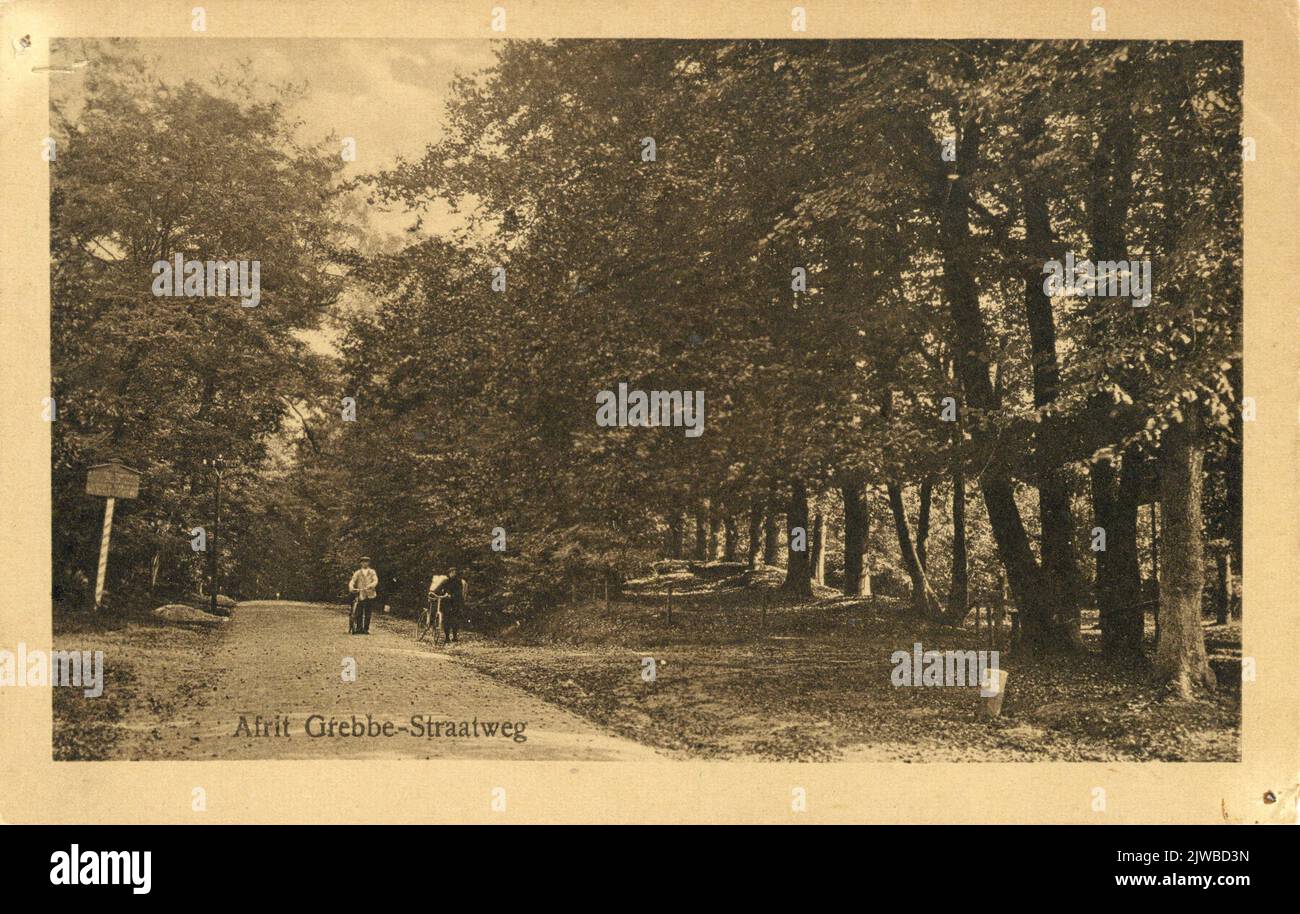 View of the Greb -Beweg with surrounding forest in Grebbe (municipality ...