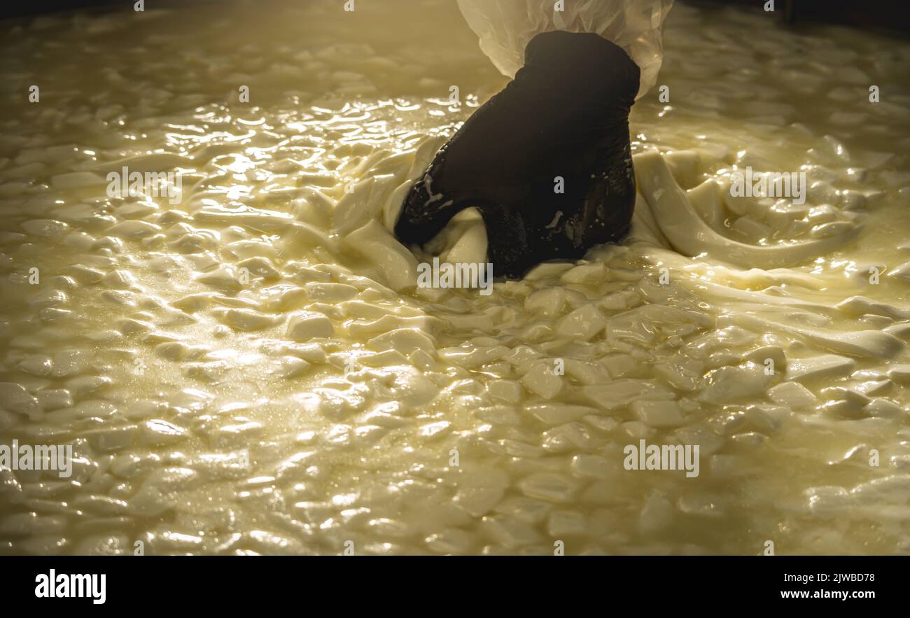The process of producing different varieties of cheese in industry ...