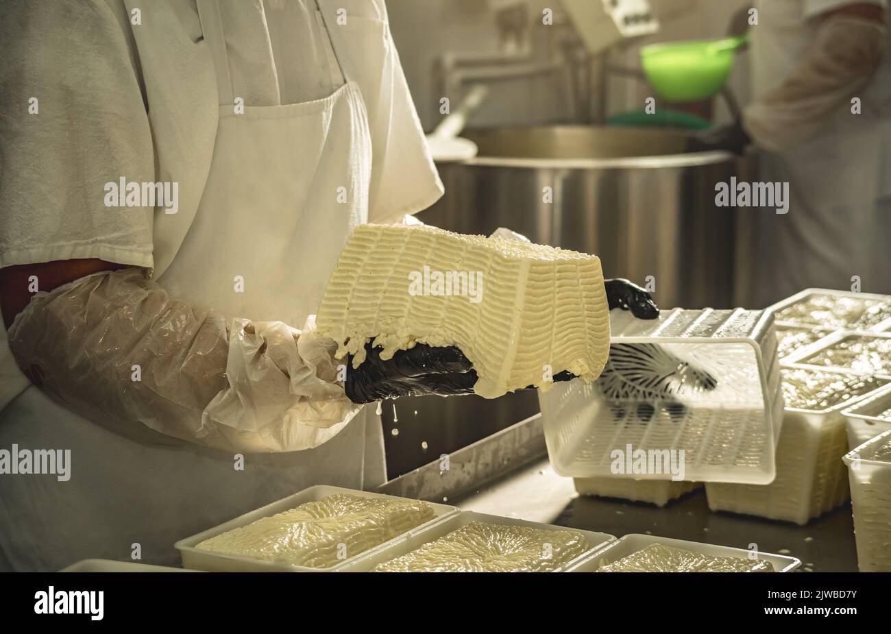 A man is a cheese maker in the process of producing different varieties ...