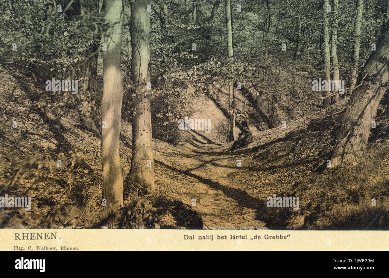 Face in the Swiss valley in the forest on the Grebbeberg in Grebbe ...