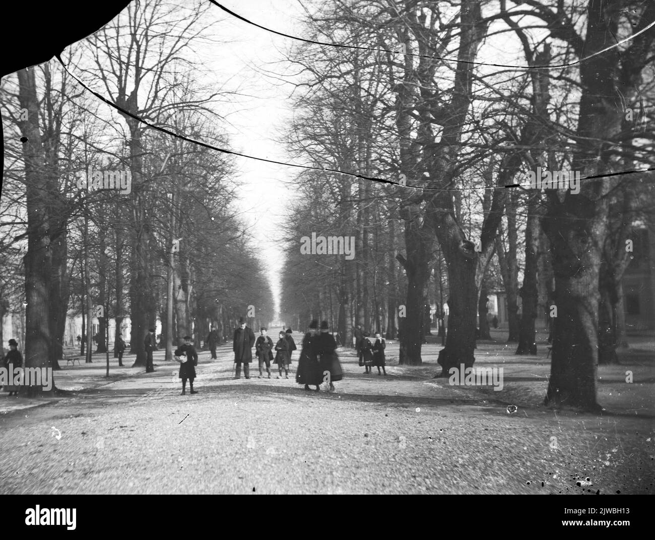 View in the Maliebaan in Utrecht Stock Photo - Alamy