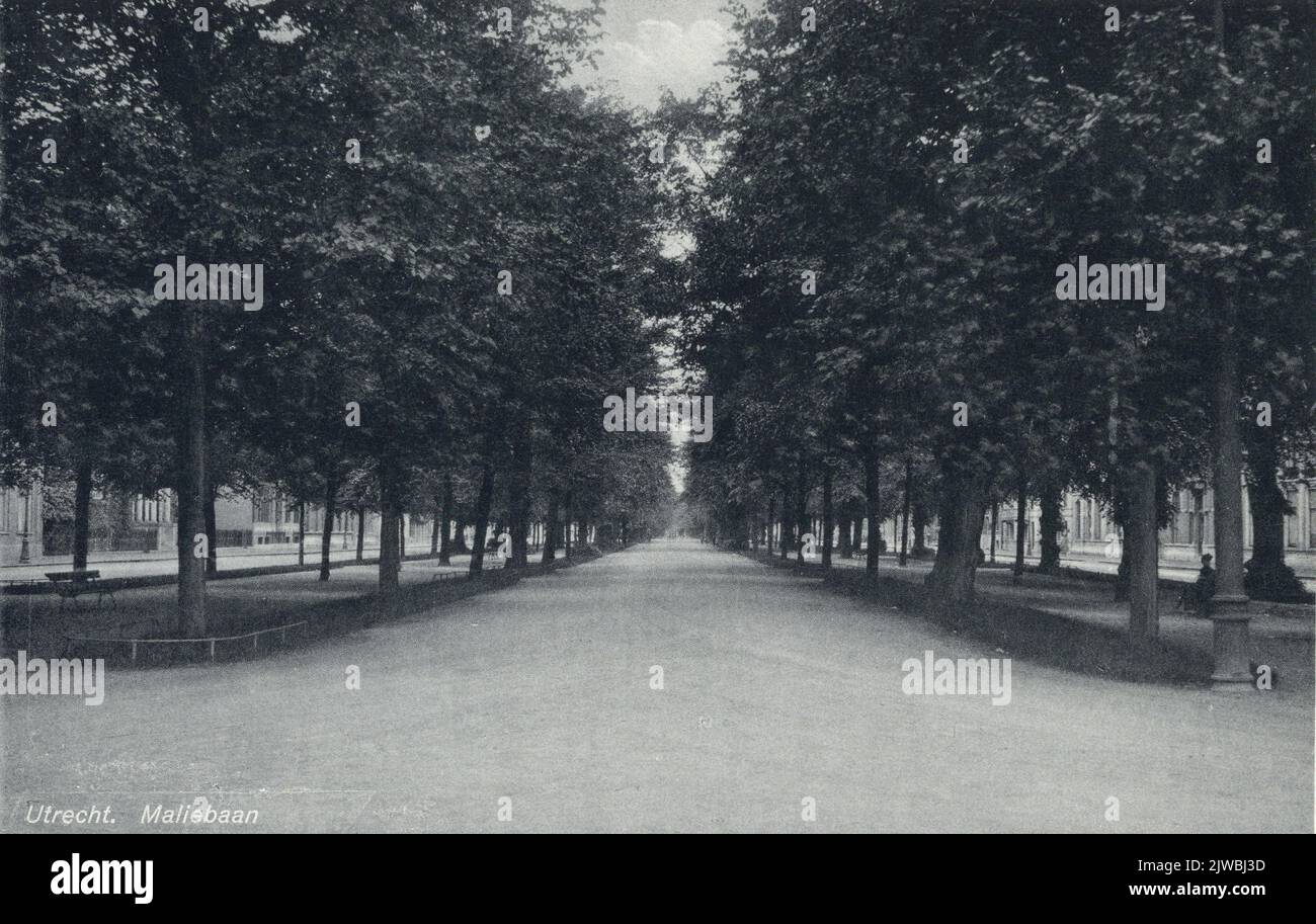 View in the Maliebaan in Utrecht Stock Photo - Alamy