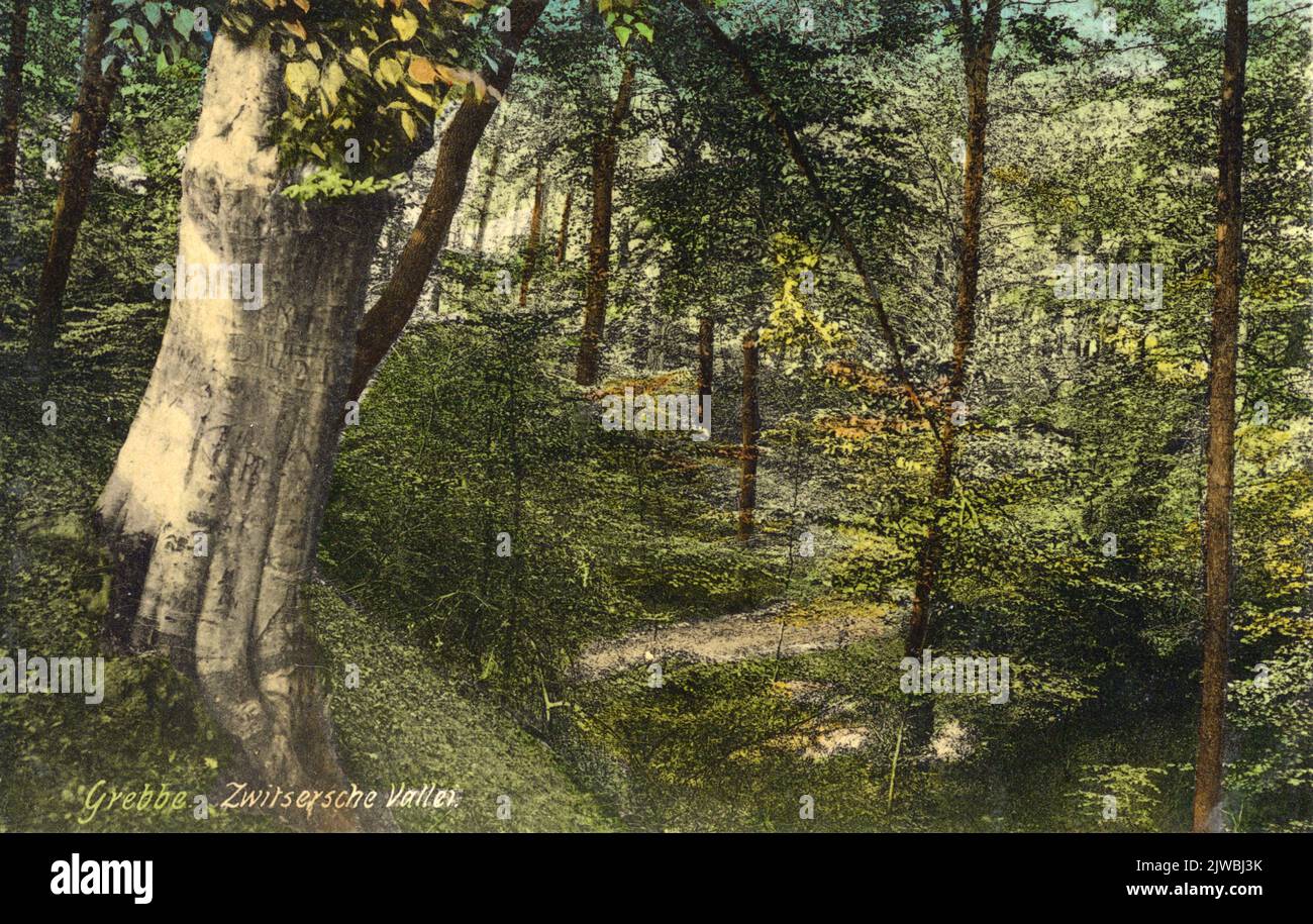 Face in the Swiss valley in the forest on the Grebbeberg in Grebbe ...
