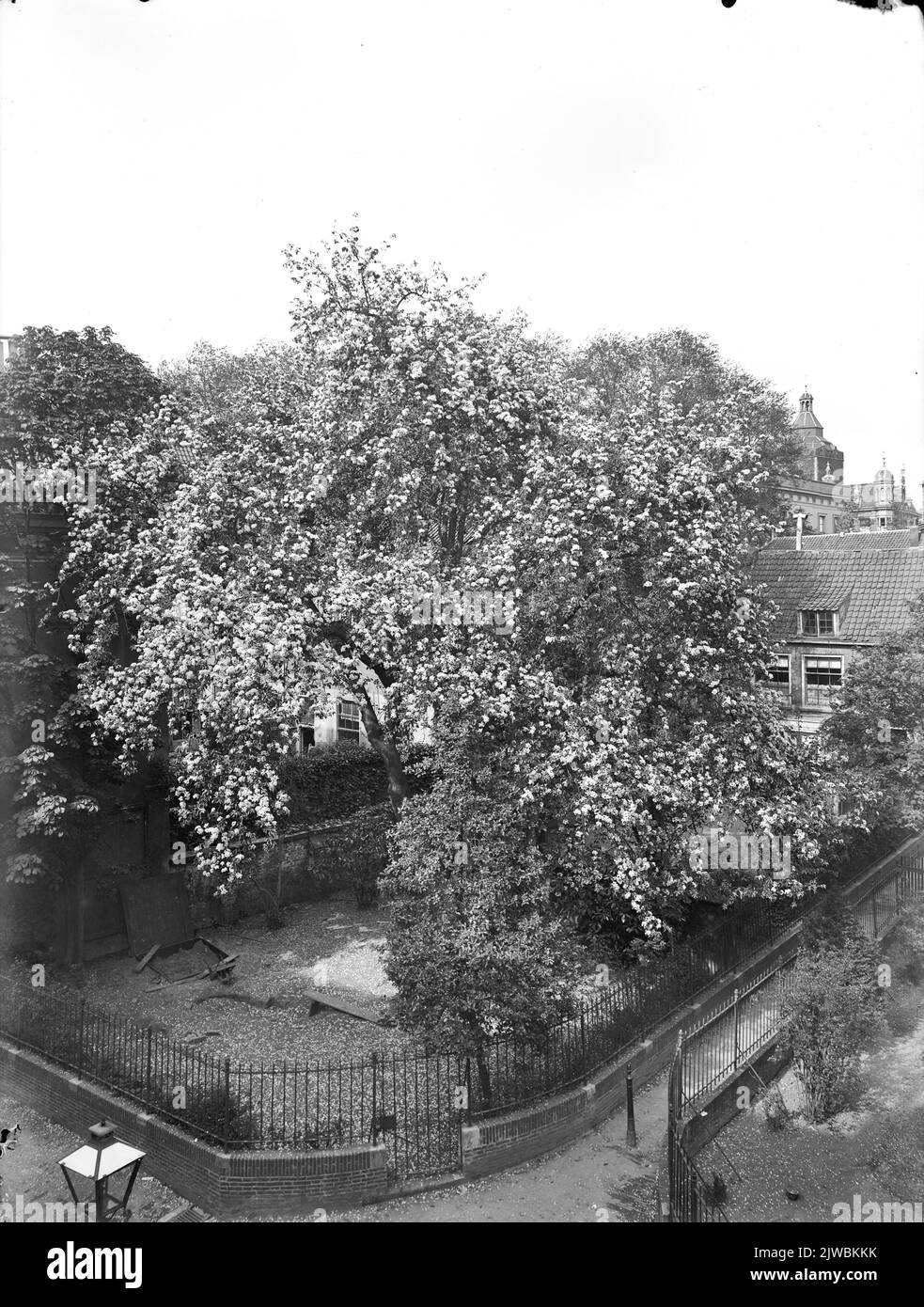 Flowering city Black and White Stock Photos & Images - Alamy