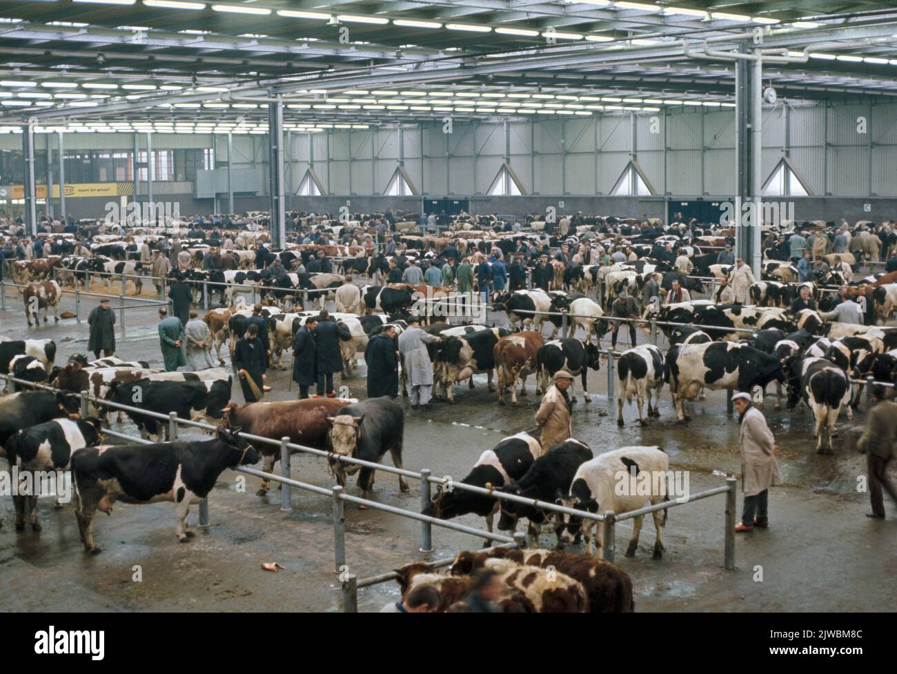 Interior of the Veemarkthallen (Sartreweweg 1) in Utrecht: Veehal with ...