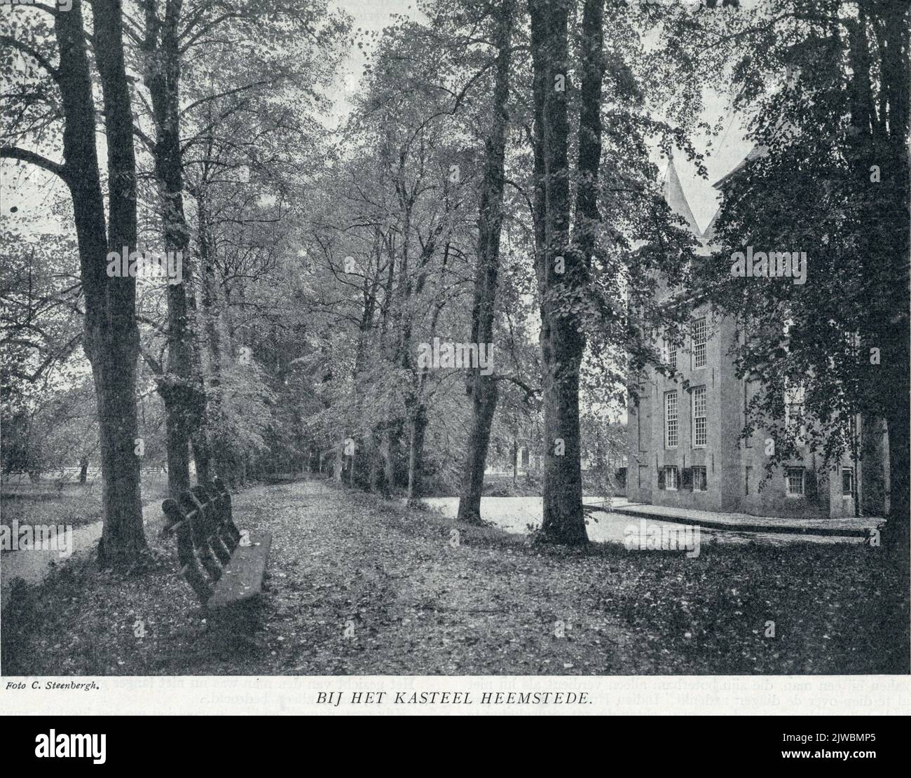 Face in a avenue with deciduous trees in the park of the Heemstede ...