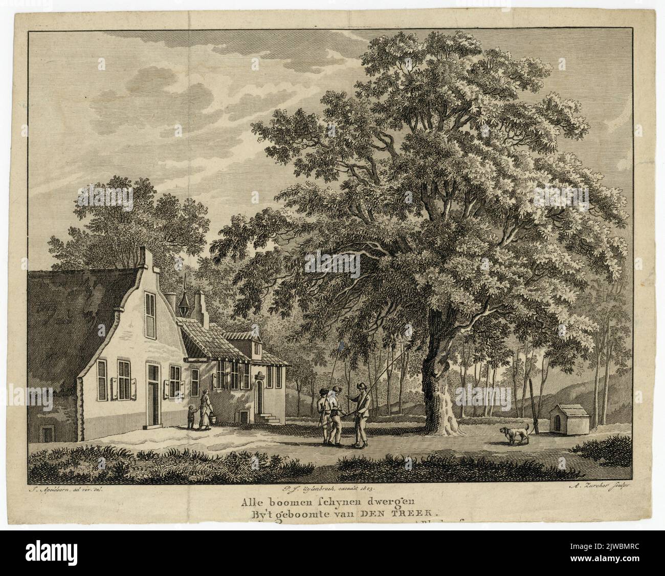 All trees dwarfs / by'tboomte van den Treek Stock Photo - Alamy