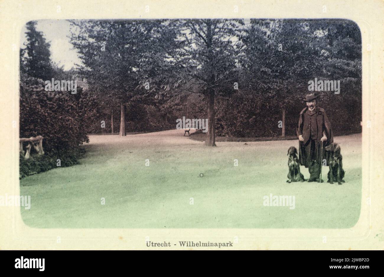View in the Wilhelminapark in Utrecht Stock Photo - Alamy
