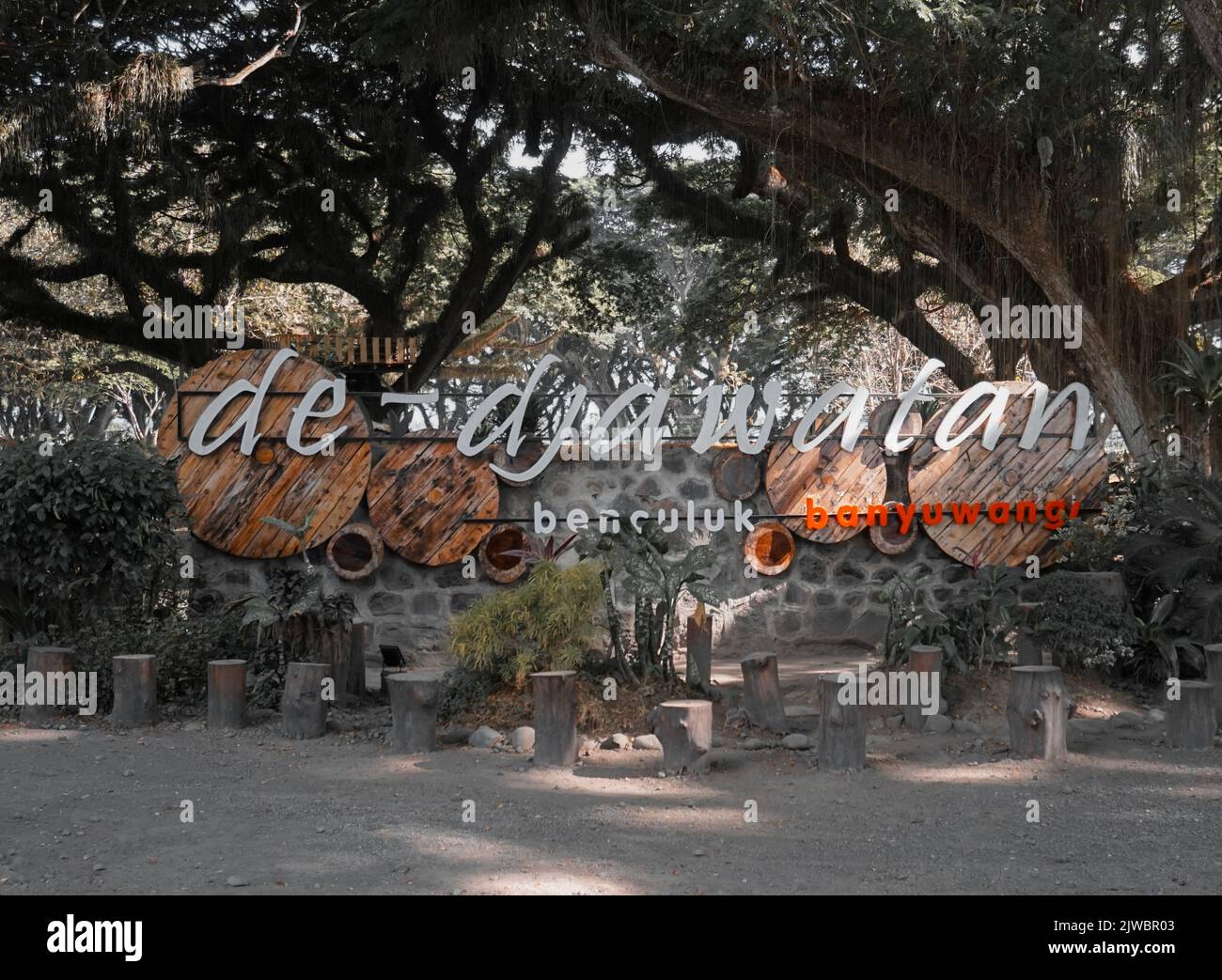 Djawatan forest hi-res stock photography and images - Alamy