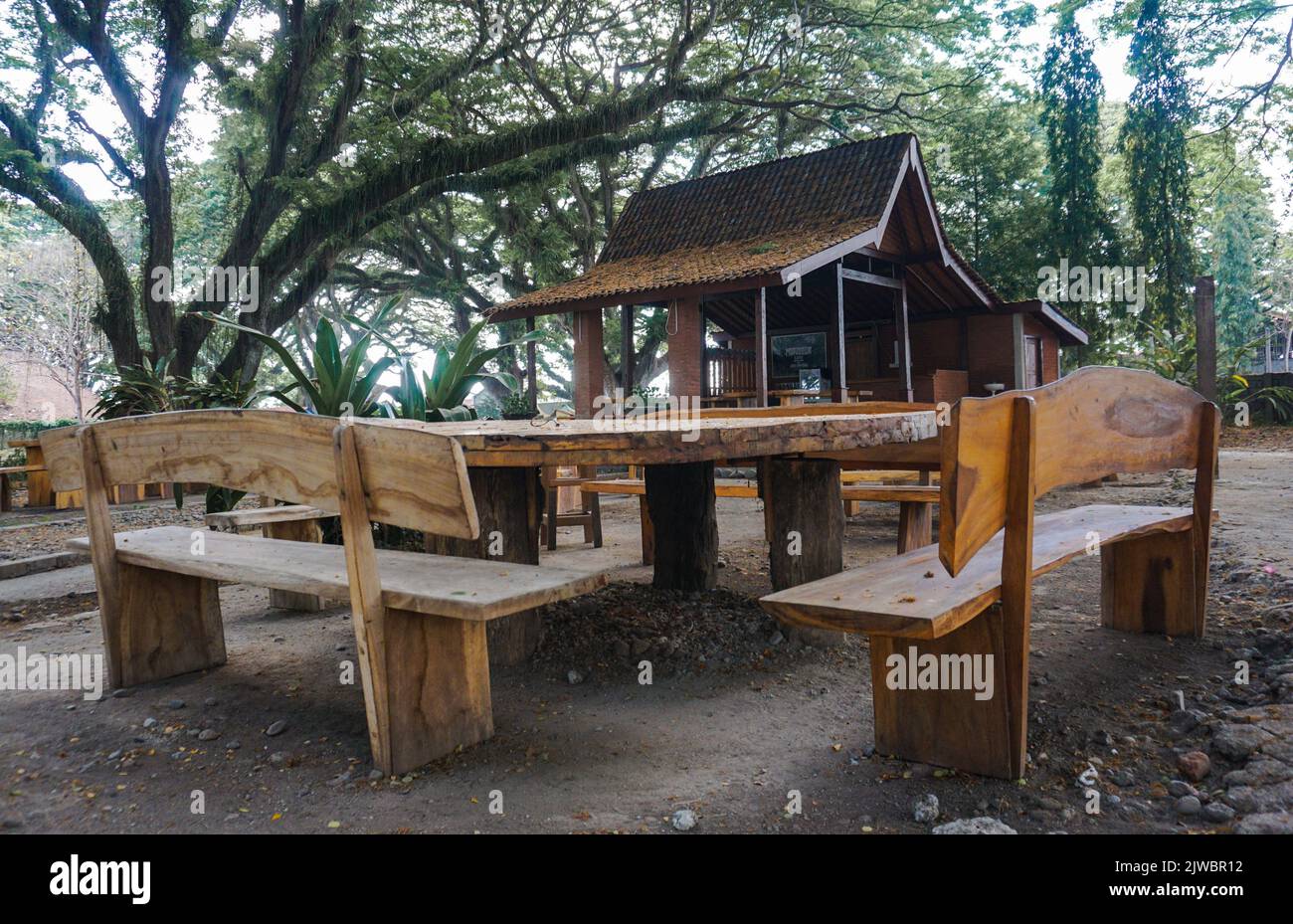 de Djawatan Forest in Banyuwangi, East Java, Indonesia Stock Photo - Alamy