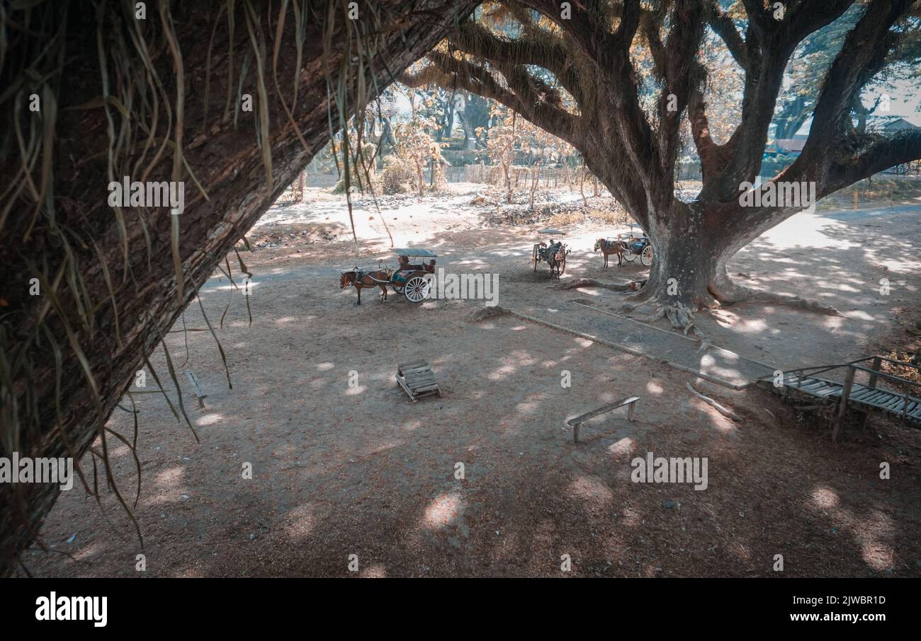 Wisata banyuwangi hi-res stock photography and images - Alamy