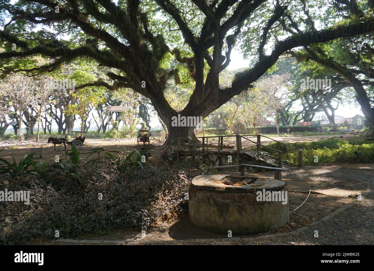 Wisata banyuwangi hi-res stock photography and images - Alamy