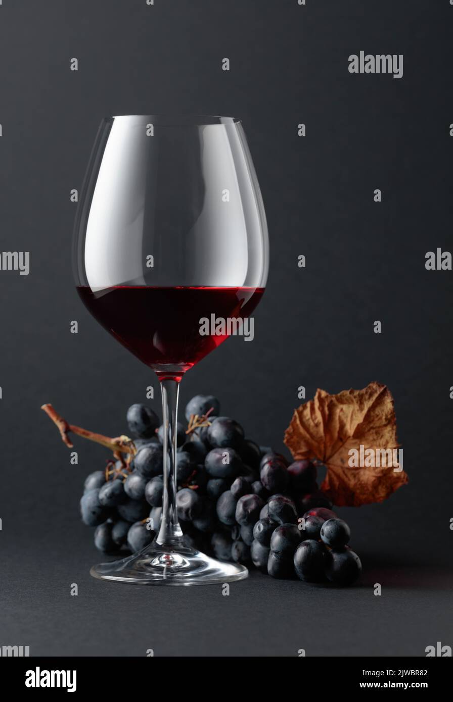 Glass of red wine and blue grapes with dried up vine leaves on a dark ...