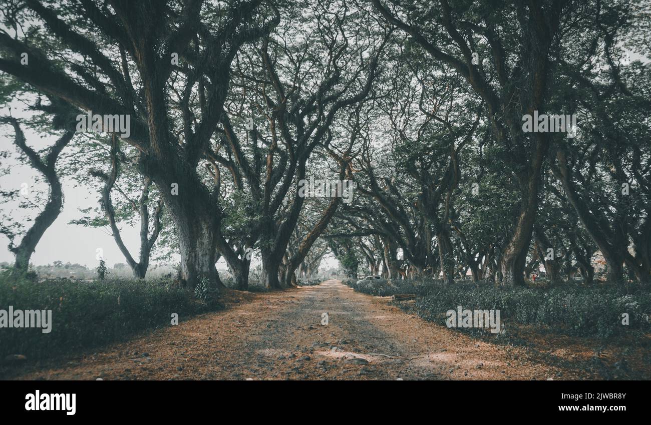 Wisata banyuwangi hi-res stock photography and images - Alamy
