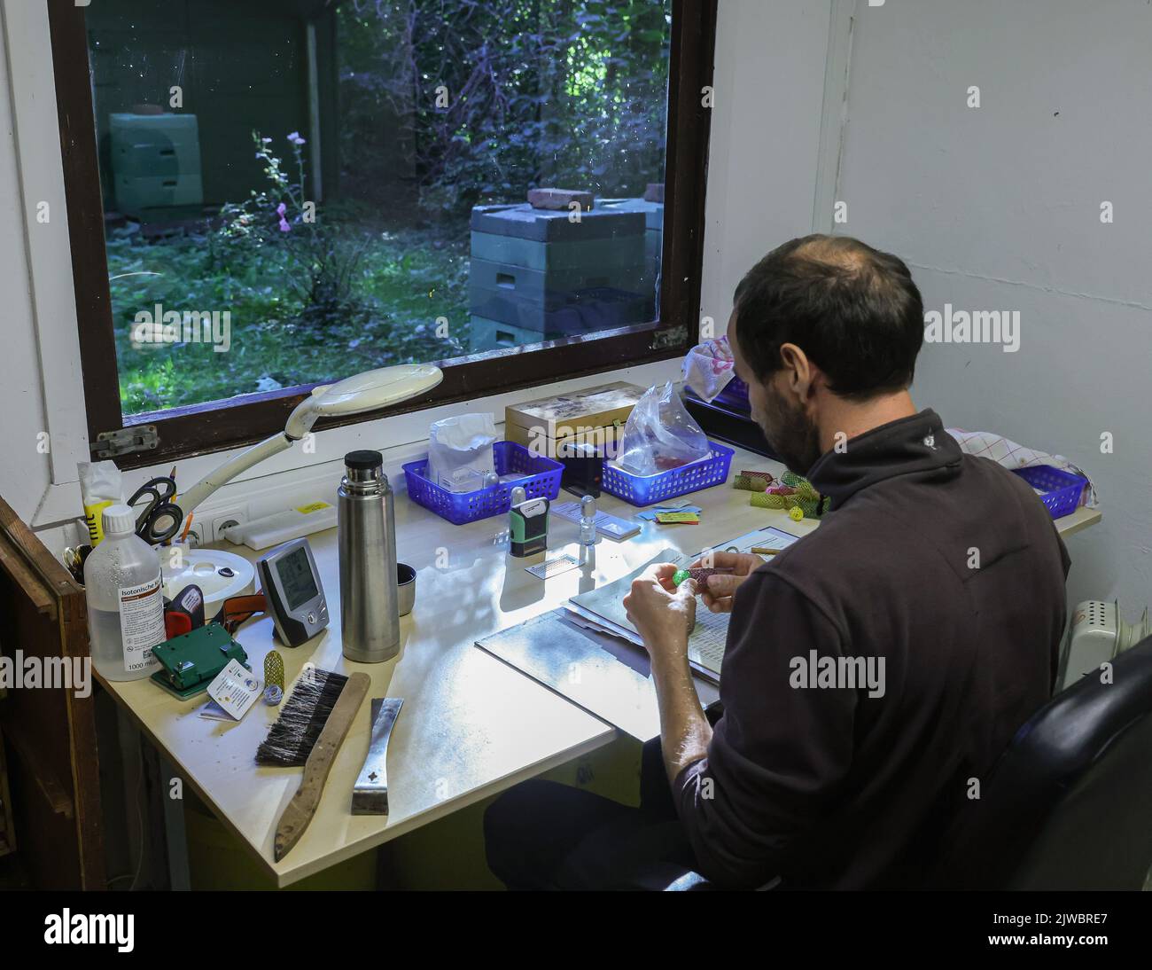 Bantin, Germany. 01st Sep, 2022. An employee of the Bantin Beekeeping ...