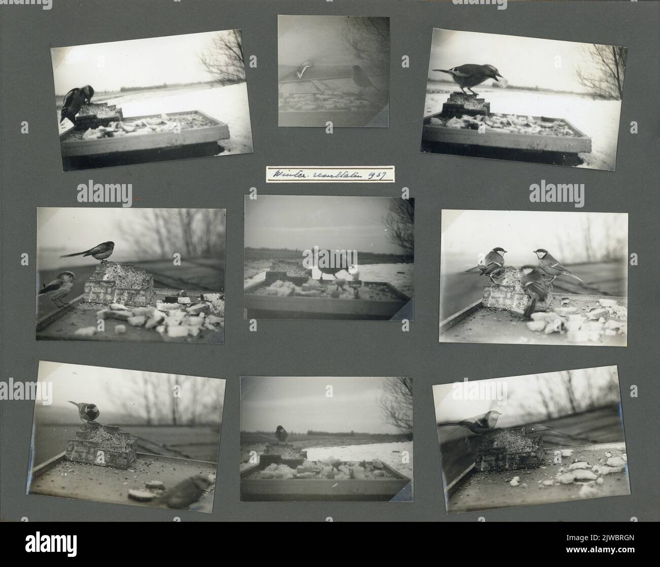 Image of a page from a photo album of scouting group Salwega from ...