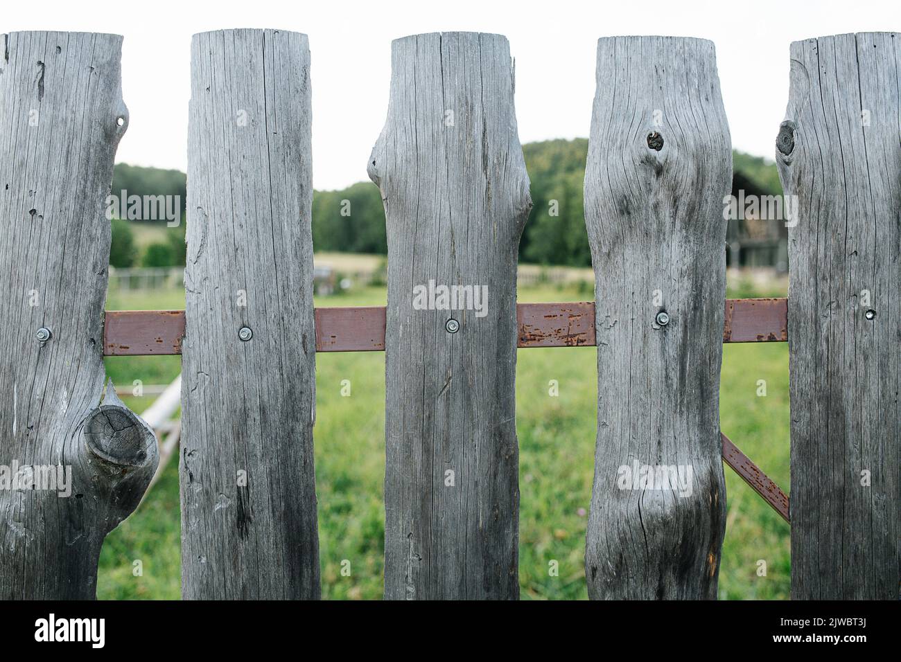 Cheap old wooden slab fence texture on a metal frame from round knotted ...