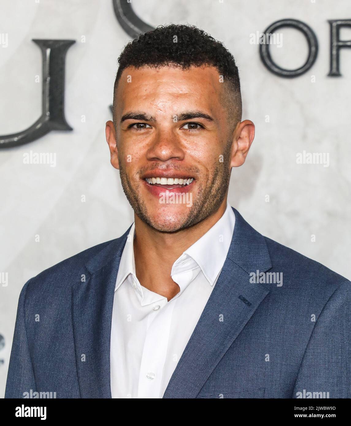 Julian Moore-Cook seen attending the Global Premiere For "The Lord Of ...